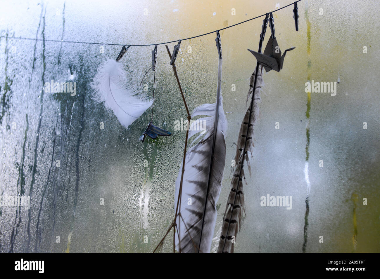 GERMANY, looking out the window with feather and damp Stock Photo - Alamy