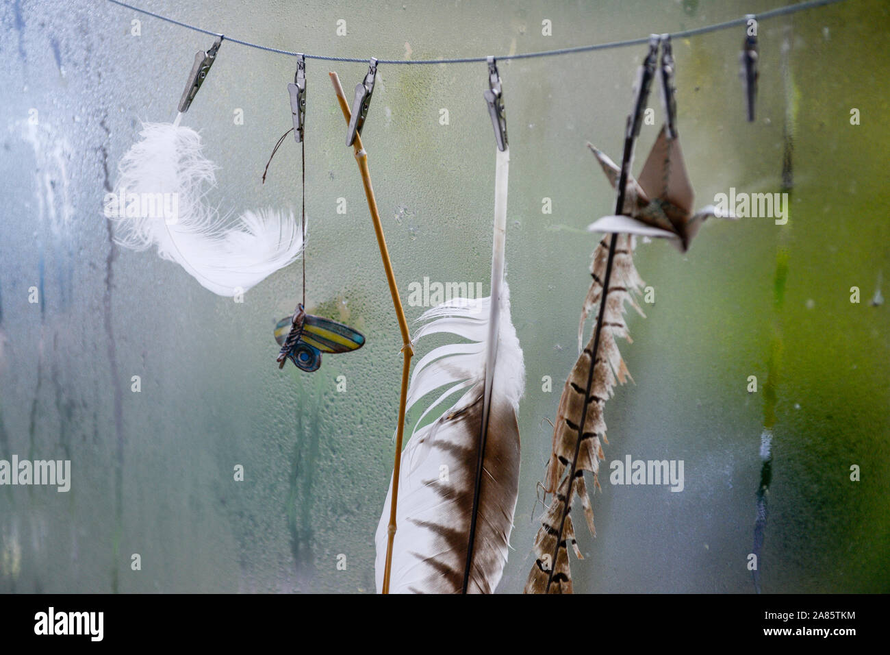 GERMANY, looking out the window with feather and damp Stock Photo - Alamy