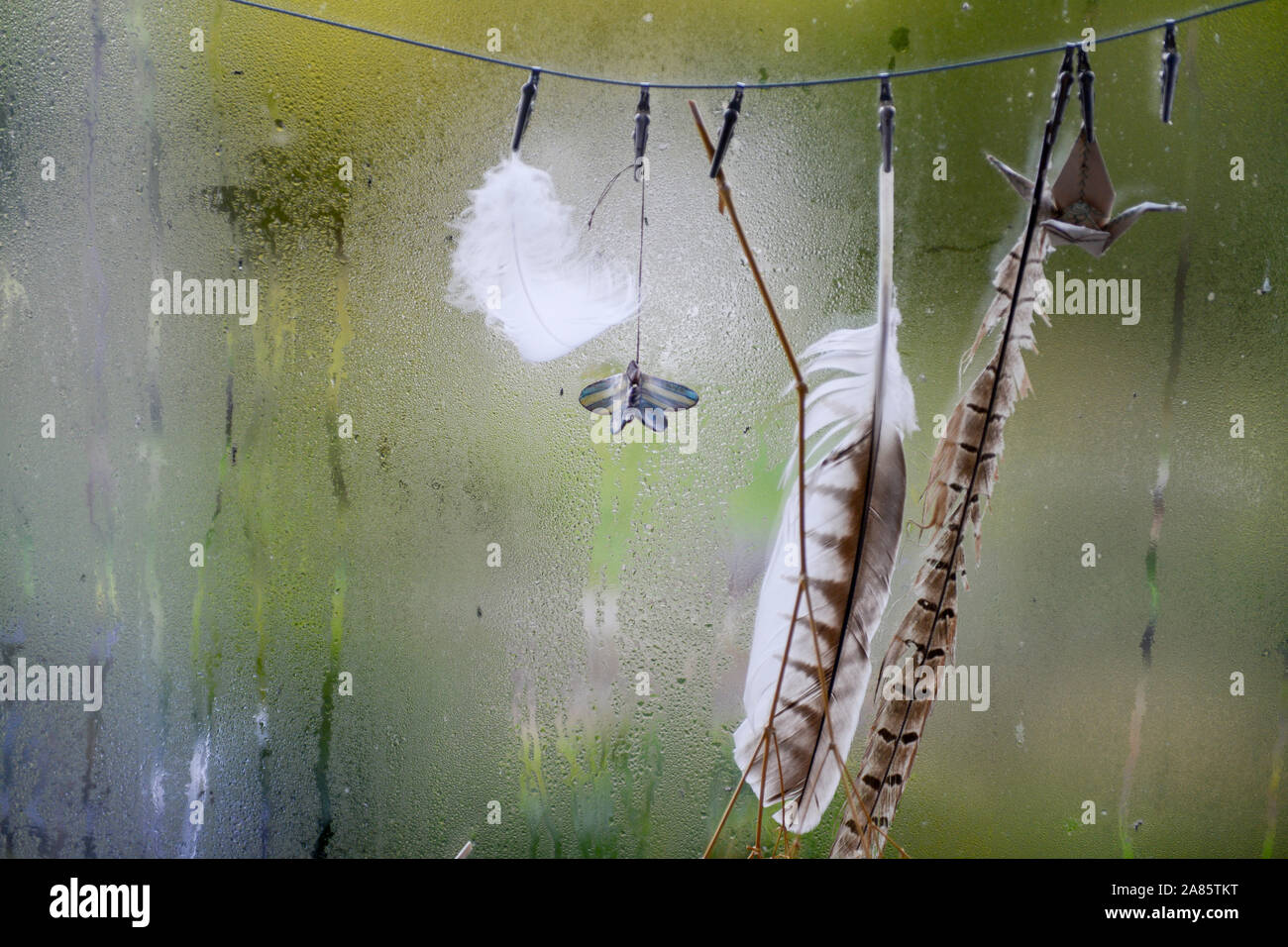 GERMANY, looking out the window with feather and damp Stock Photo - Alamy