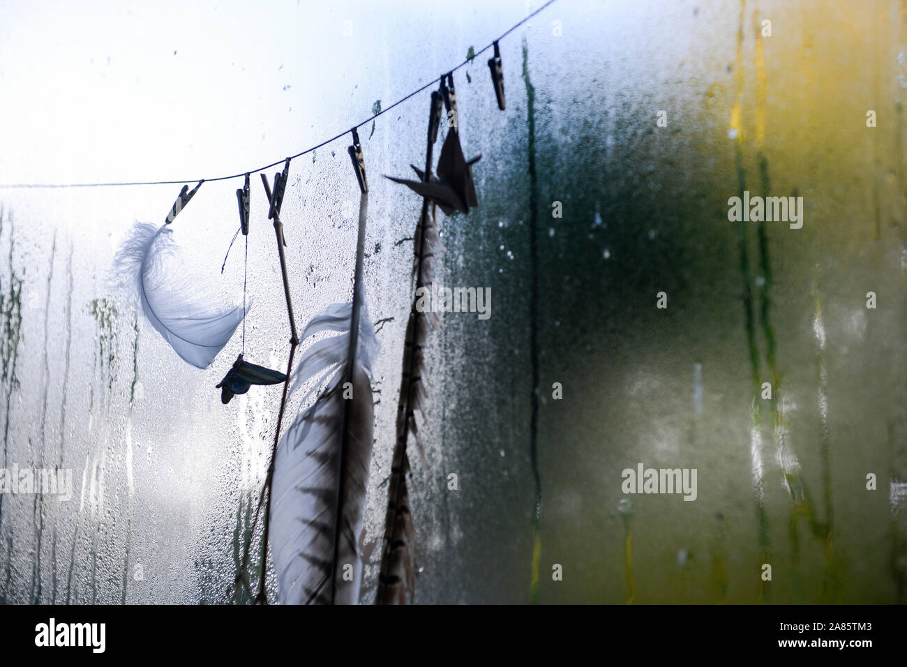 GERMANY, looking out the window with feather and damp Stock Photo - Alamy