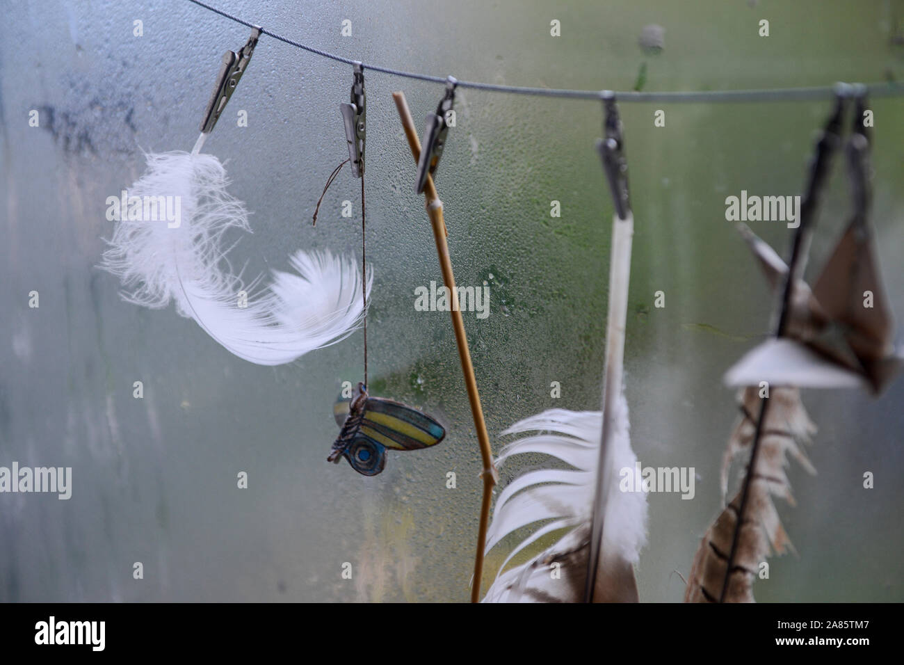 GERMANY, looking out the window with feather and damp Stock Photo - Alamy