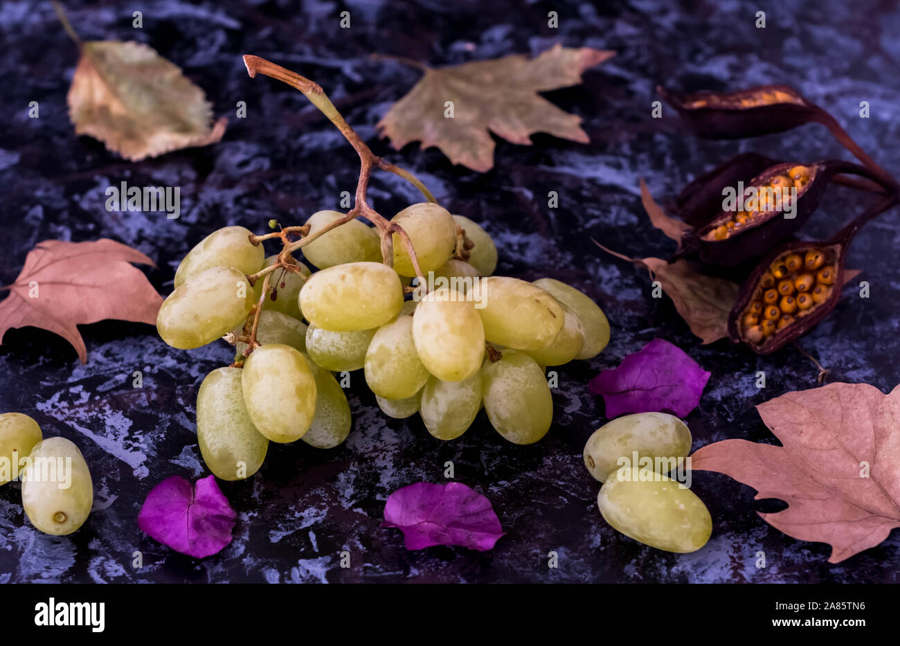Bunch of grapes Stock Photo - Alamy