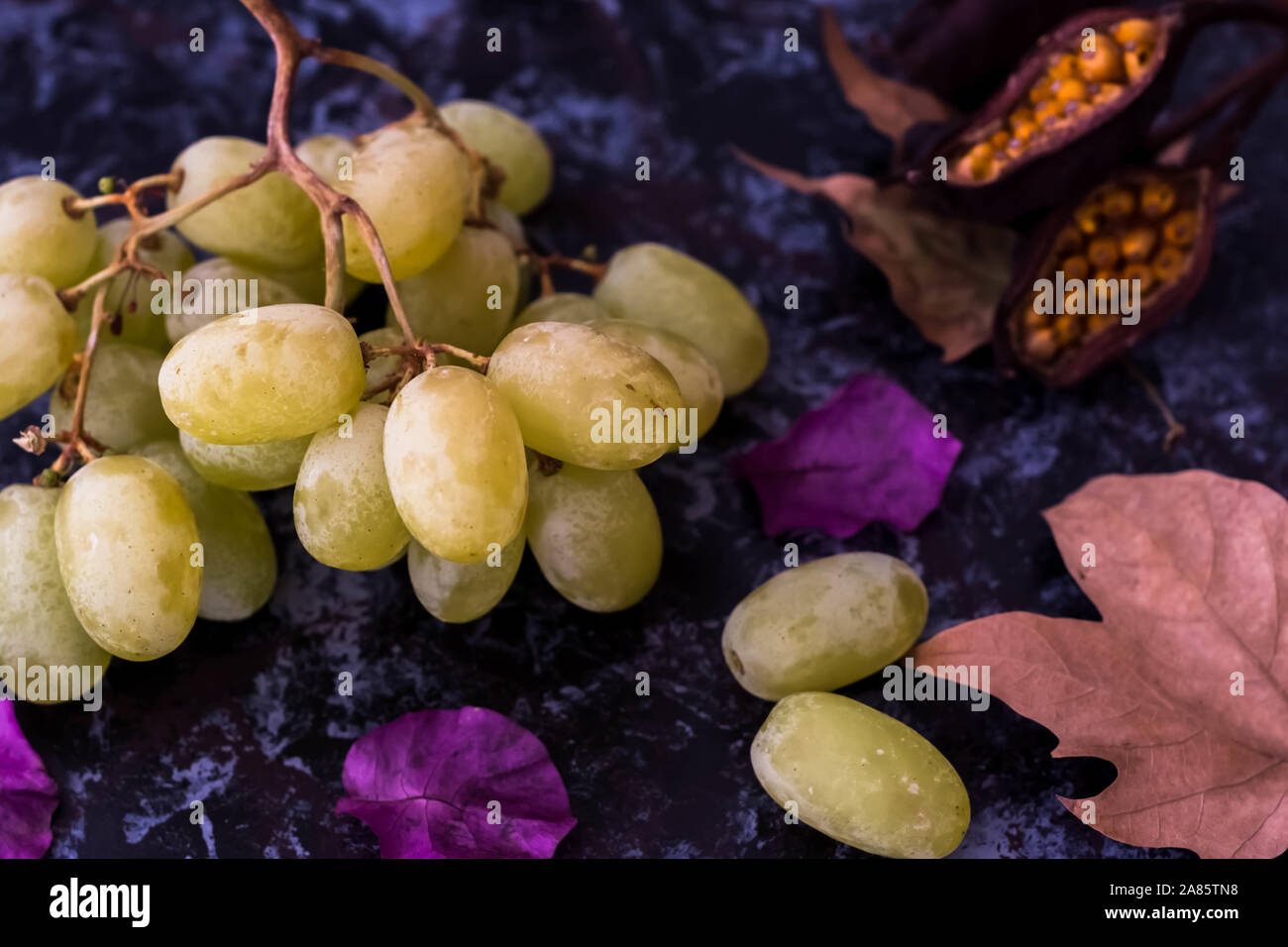Bunch of grapes Stock Photo - Alamy