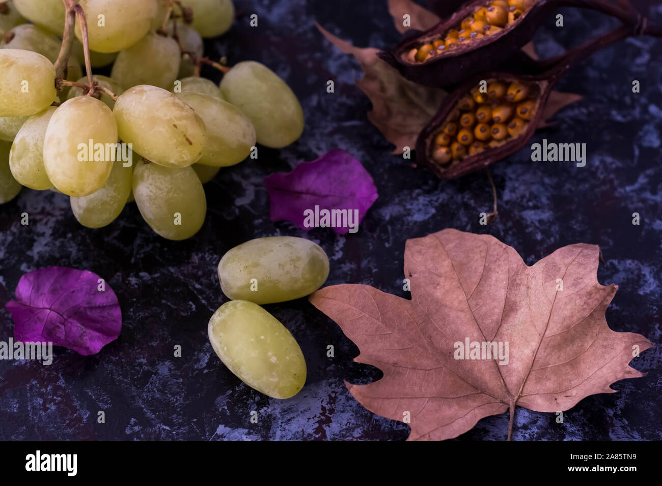 Bunch of grapes Stock Photo - Alamy