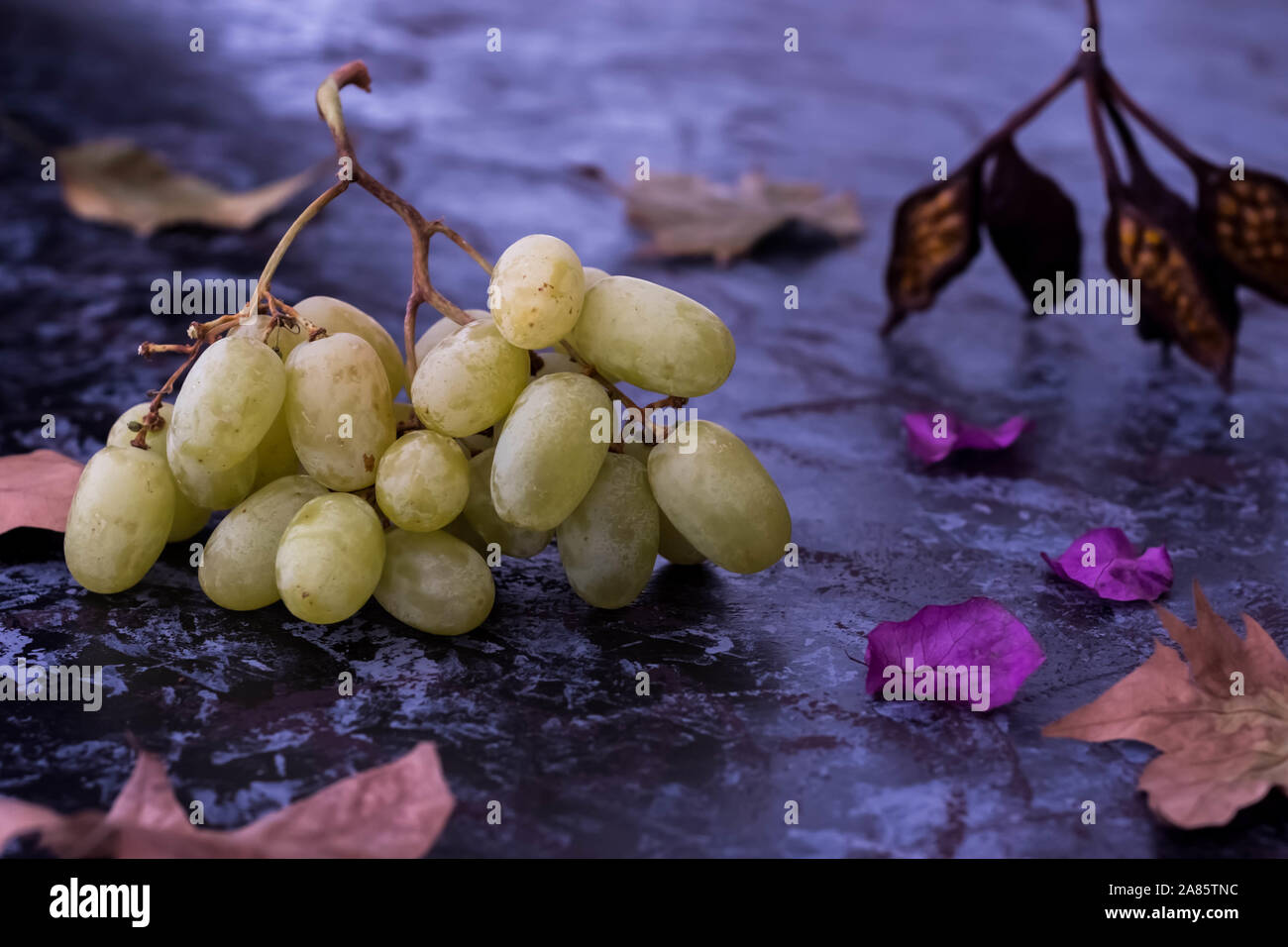 Bunch of grapes Stock Photo - Alamy