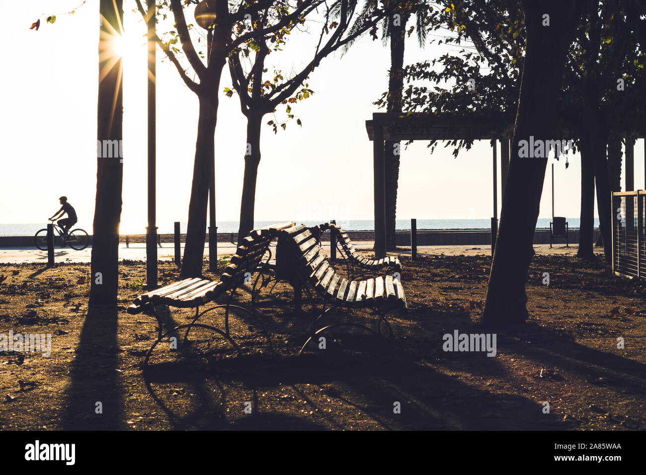 Sunset in a park hi-res stock photography and images - Alamy