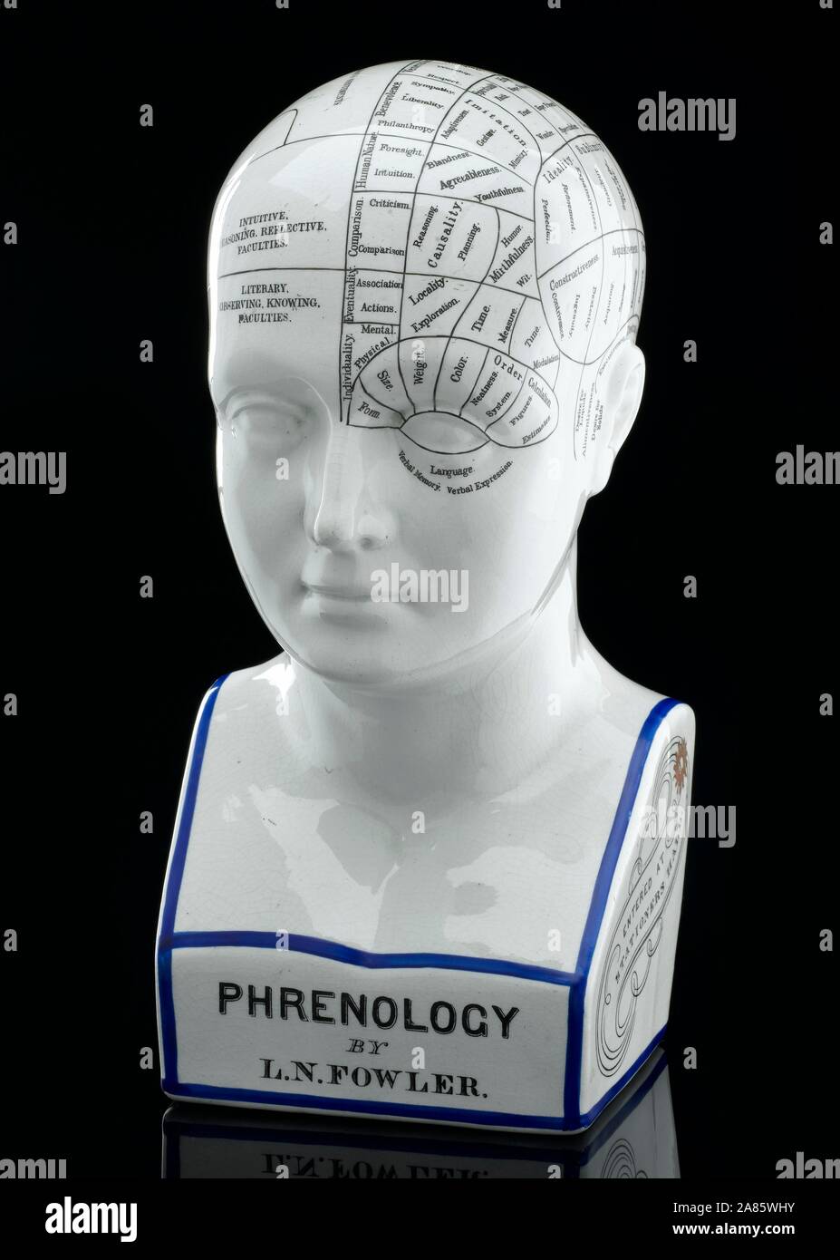 Phrenological memory hi-res stock photography and images - Alamy