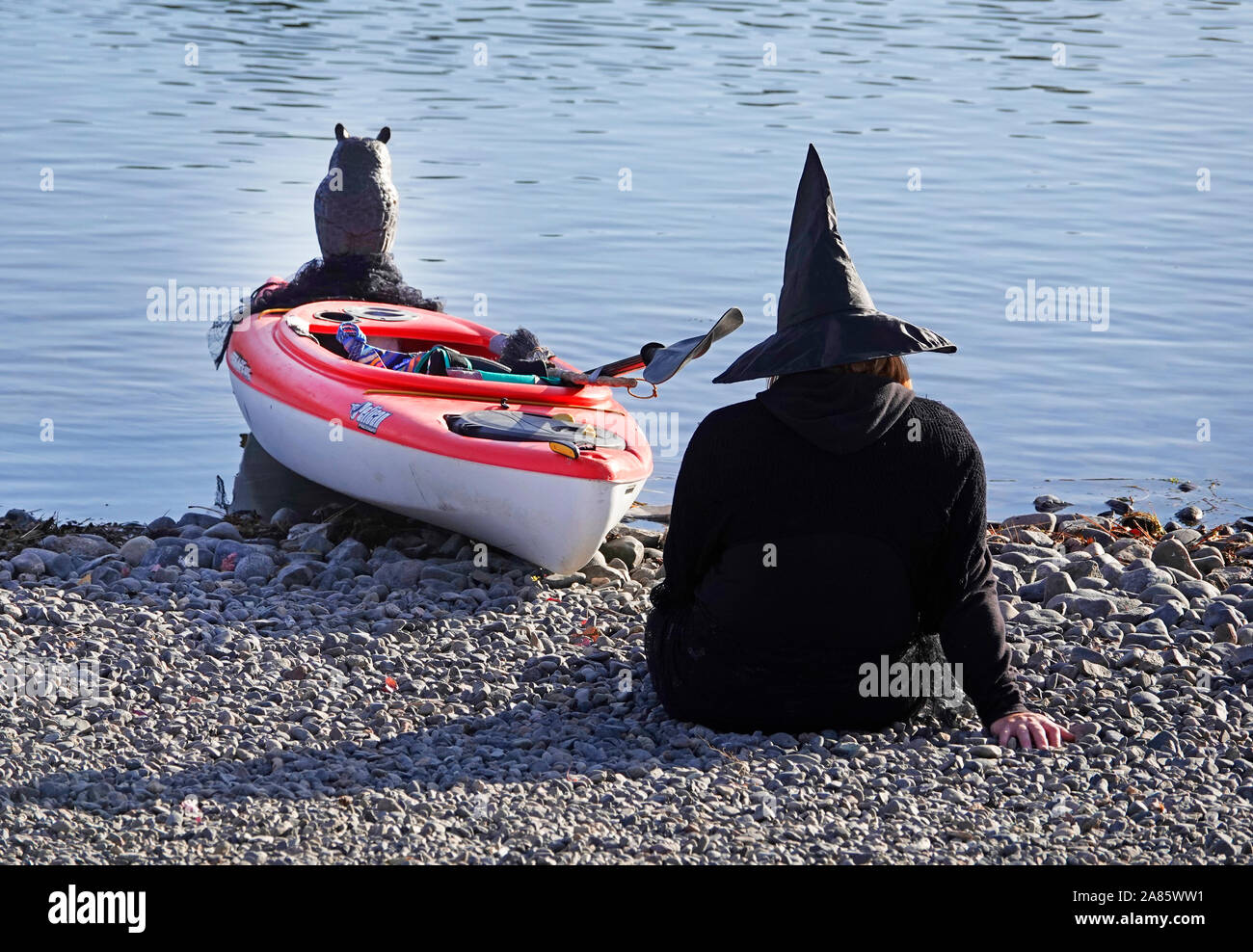 Cartoon witch face hi-res stock photography and images - Alamy