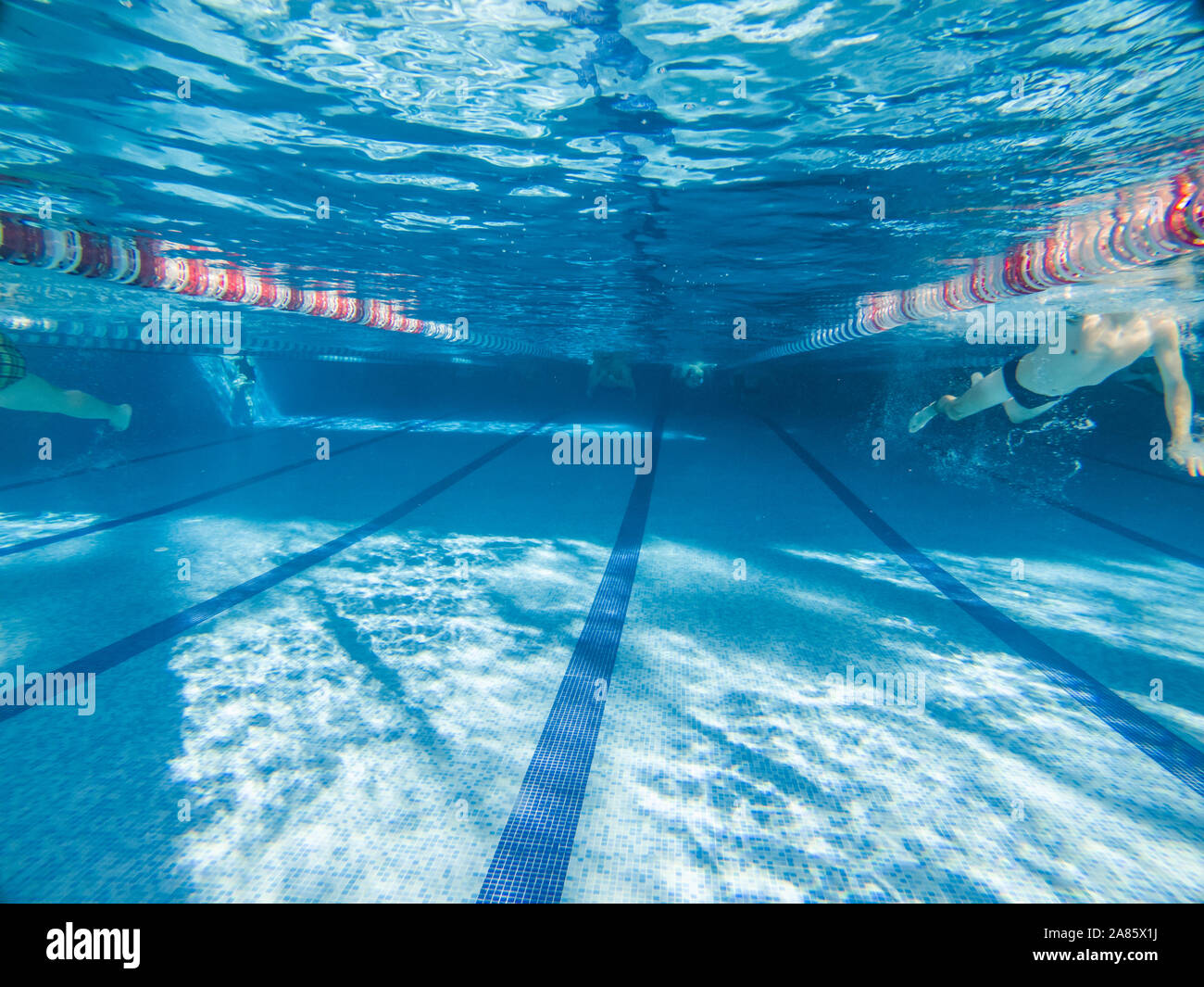 view of poll underwater sunlight through water Stock Photo - Alamy