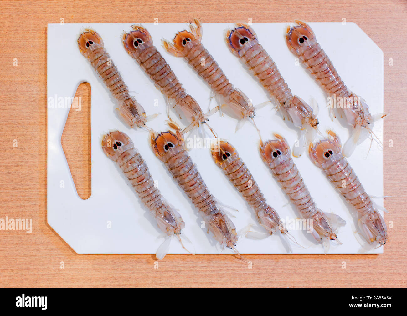 Alive shrimp hi-res stock photography and images - Alamy