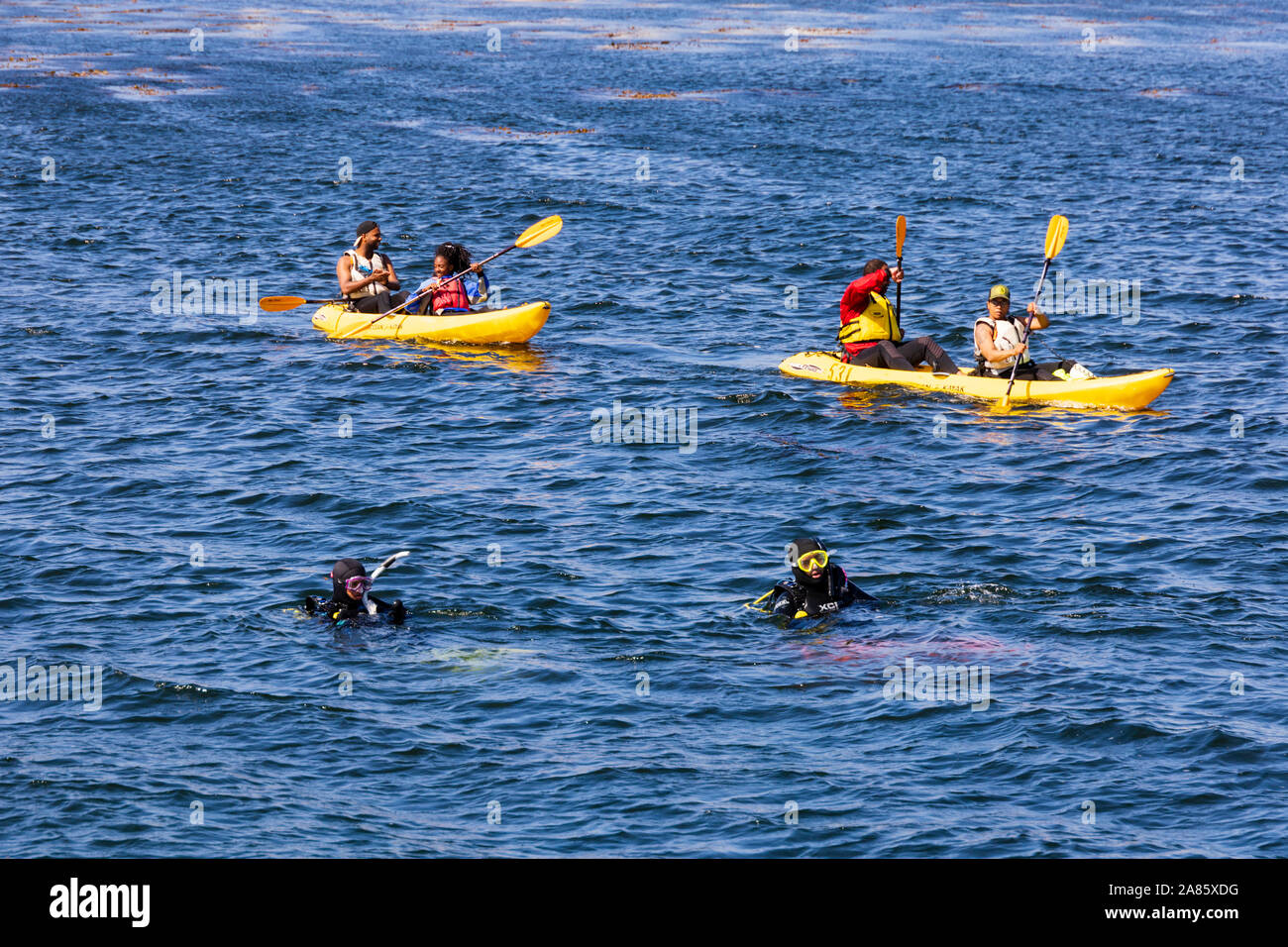 America together hi-res stock photography and images - Alamy