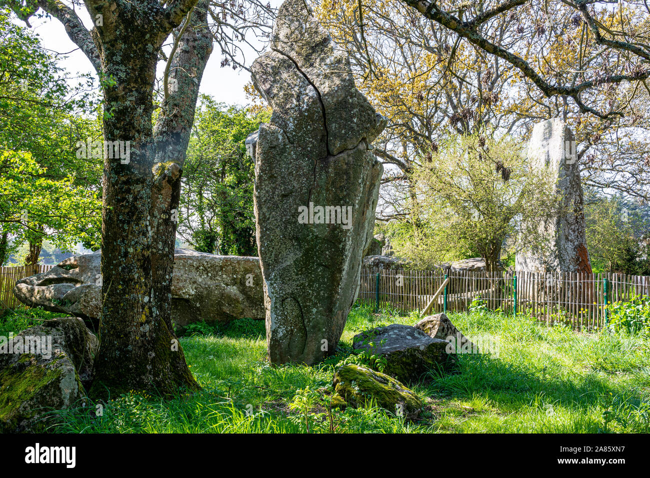 Keltische tradition hi-res stock photography and images - Alamy
