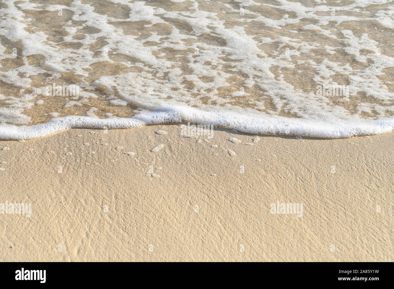 frothy ocean water edge on tropical beach sand Stock Photo - Alamy