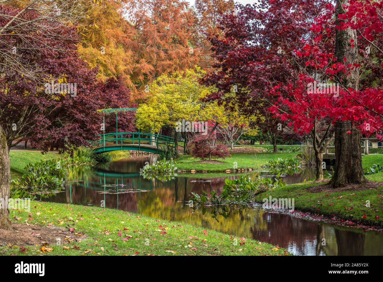 A stunning picturesque view of the Monet garden with vibrant ...