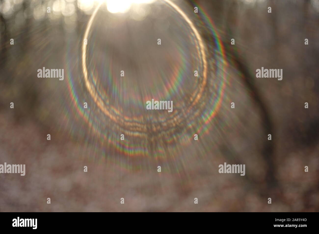 Sun rays spectrum. Solar glow. Unfocused autumn forest. Blurred natural ...