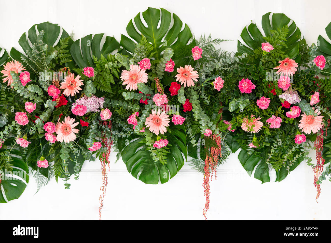 Tropical leaves and flower foliage plant bush floral arrangement nature ...