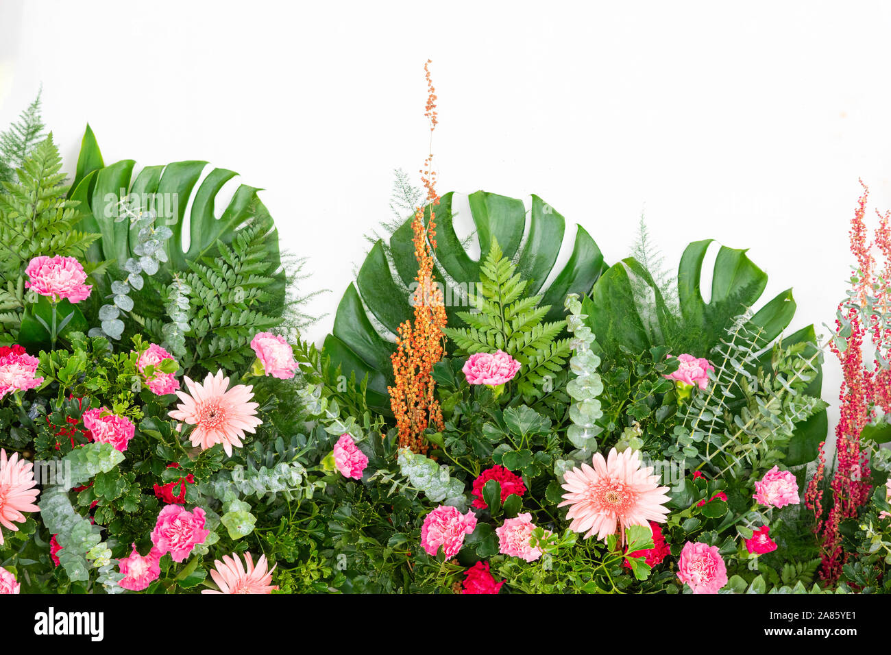 Tropical leaves and flower foliage plant bush floral arrangement nature ...