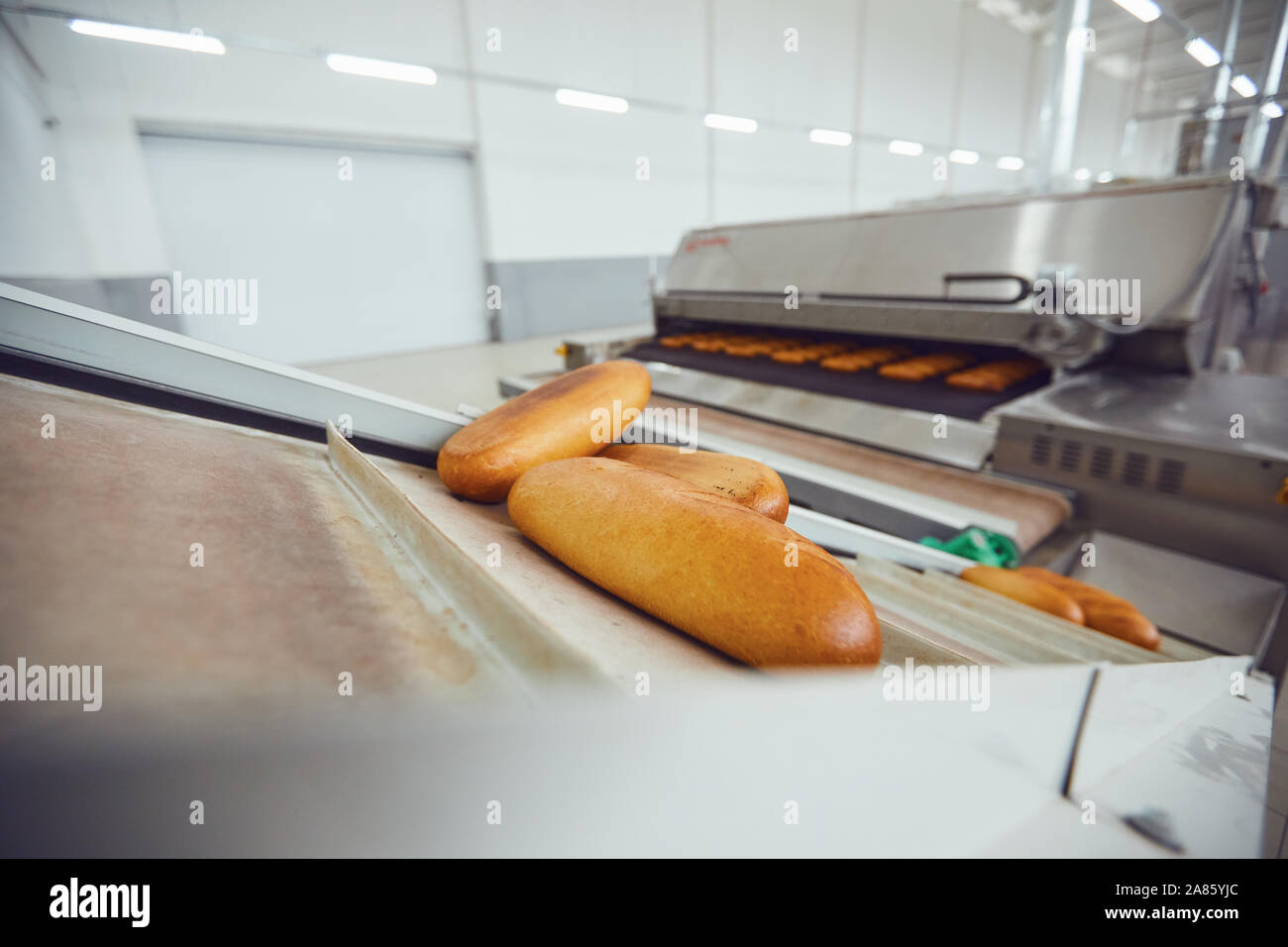 Raw bread on trays before baking at the bakery Stock Photo - Alamy
