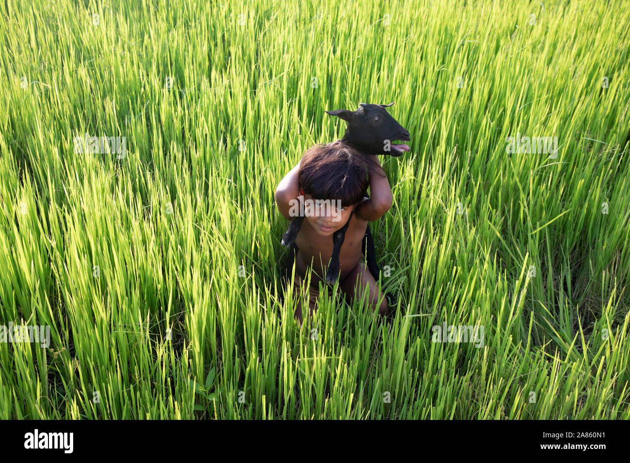 Goats village hi-res stock photography and images - Alamy