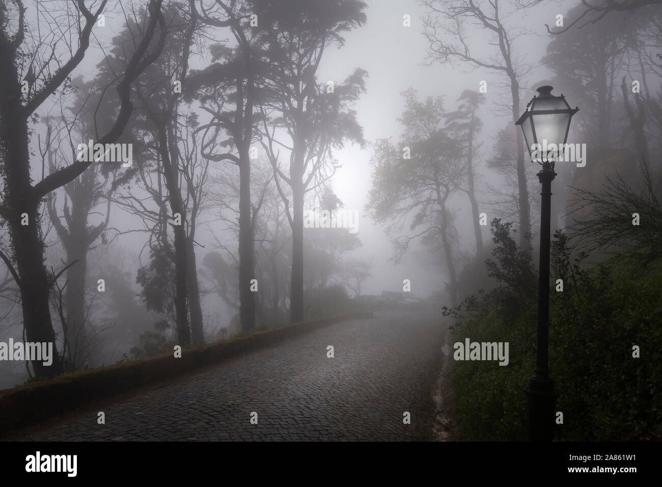 Creepy Road High Resolution Stock Photography and Images - Alamy