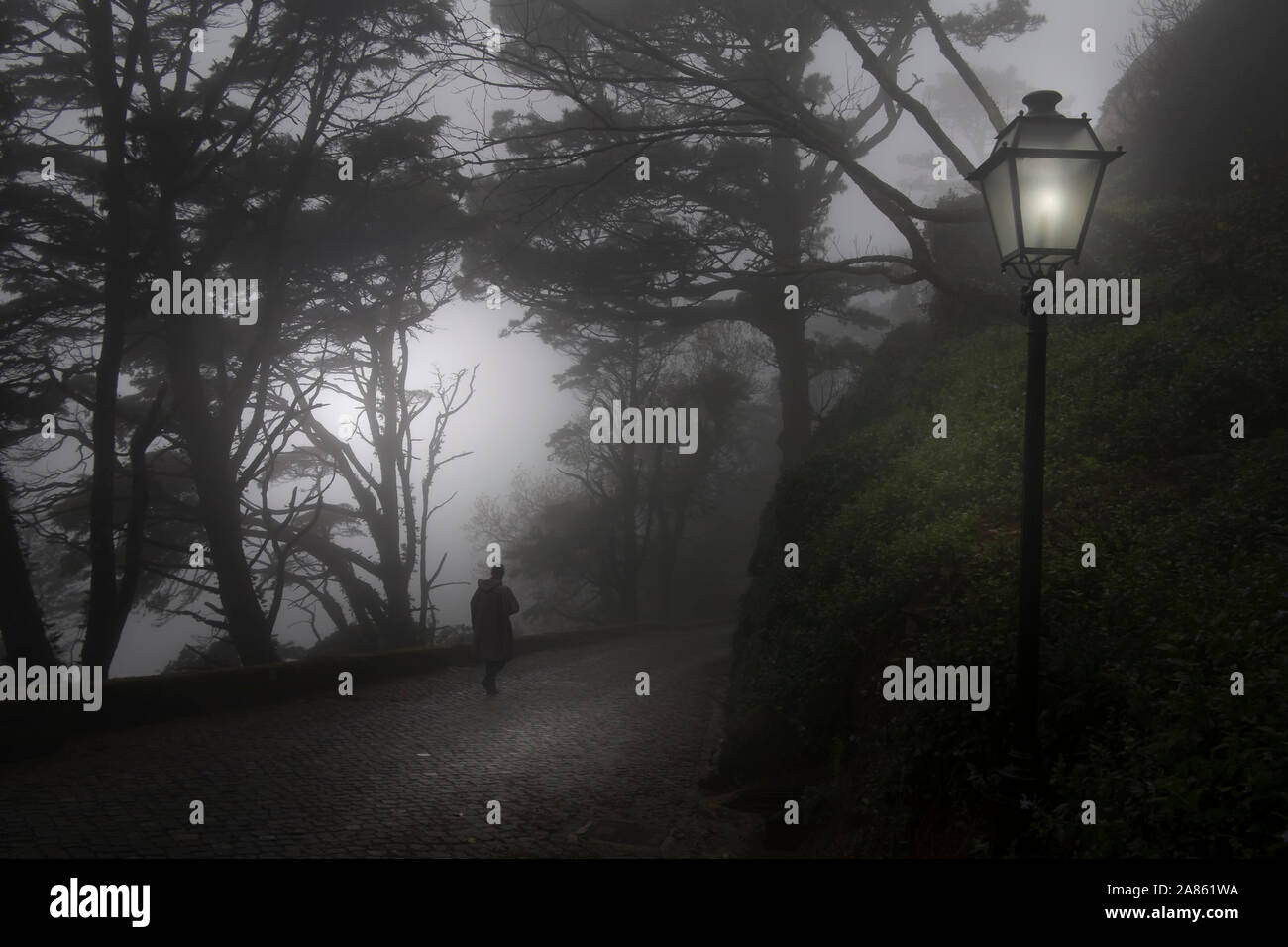 Creepy Road High Resolution Stock Photography and Images - Alamy