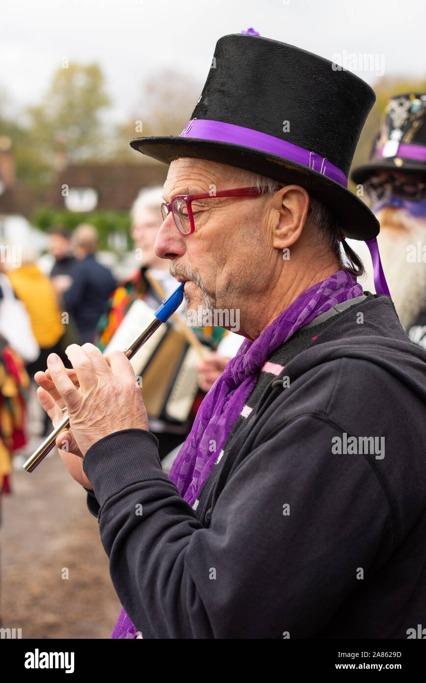 Black swan morris hi-res stock photography and images - Alamy