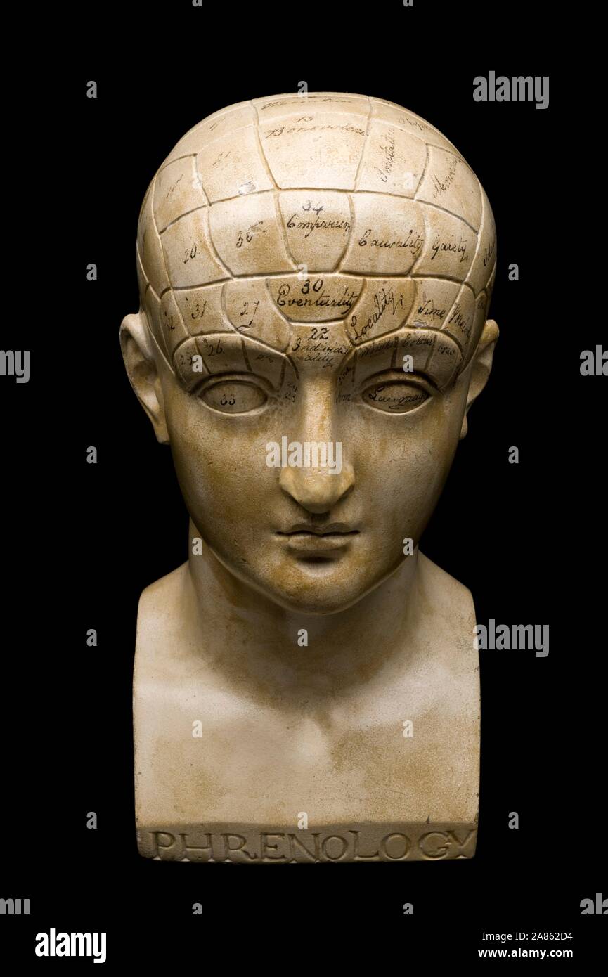 Phrenological memory hi-res stock photography and images - Alamy