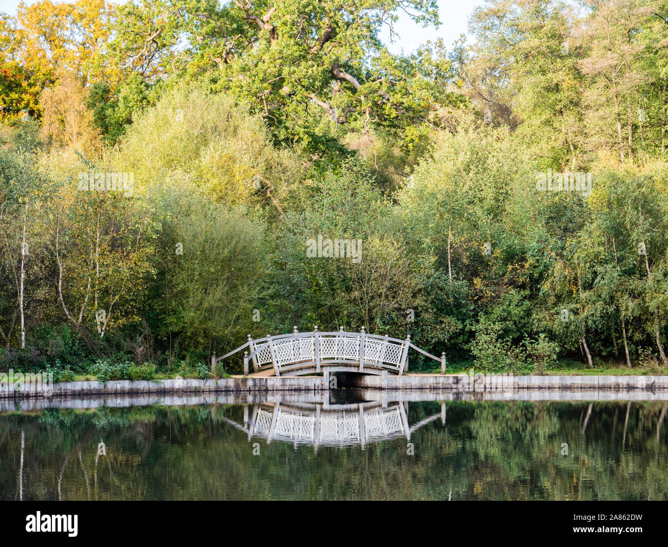 Cow pond hi-res stock photography and images - Alamy