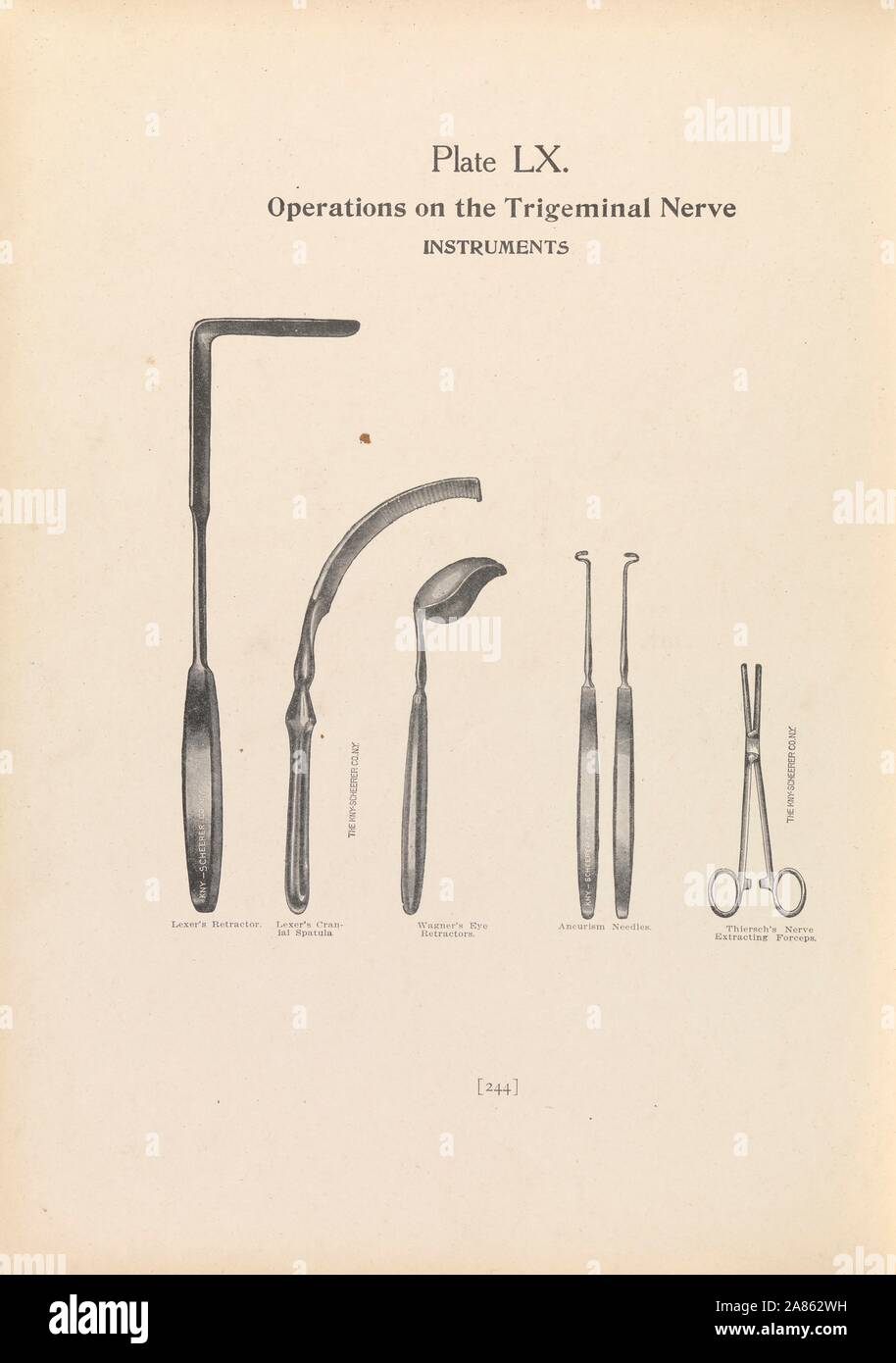 Trigeminal nerve diagram hi-res stock photography and images - Alamy