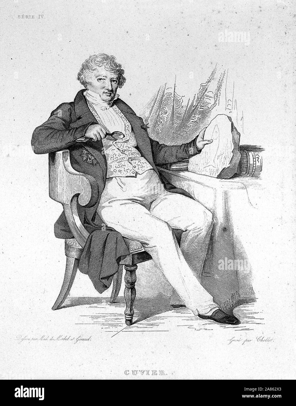 Cuvier Black and White Stock Photos & Images - Alamy