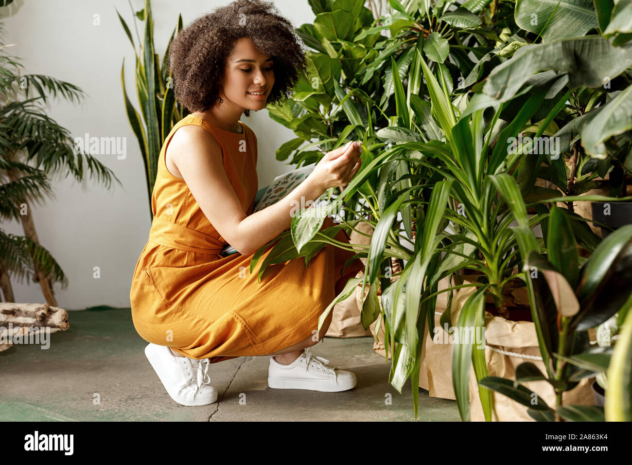 African american botanist hi-res stock photography and images - Alamy