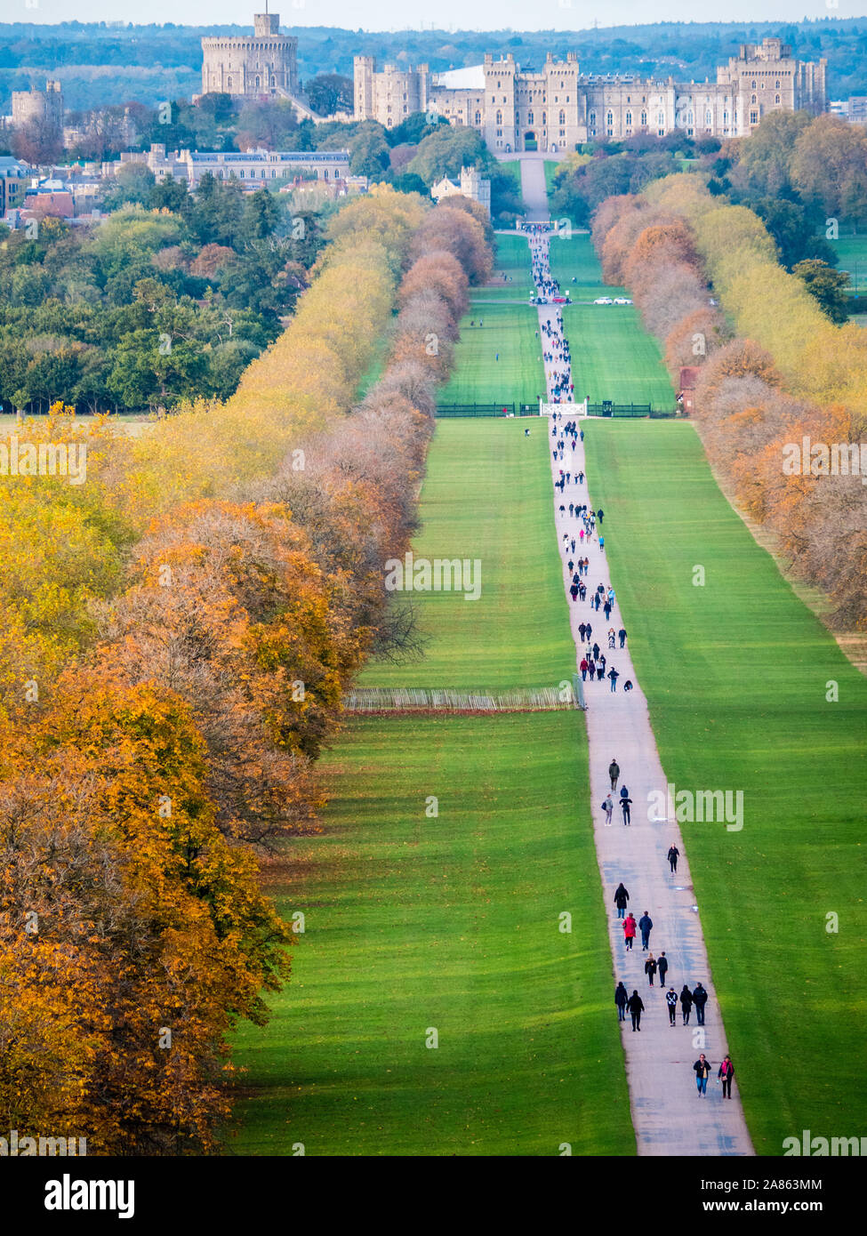 The long walk autumn windsor hi-res stock photography and images - Alamy
