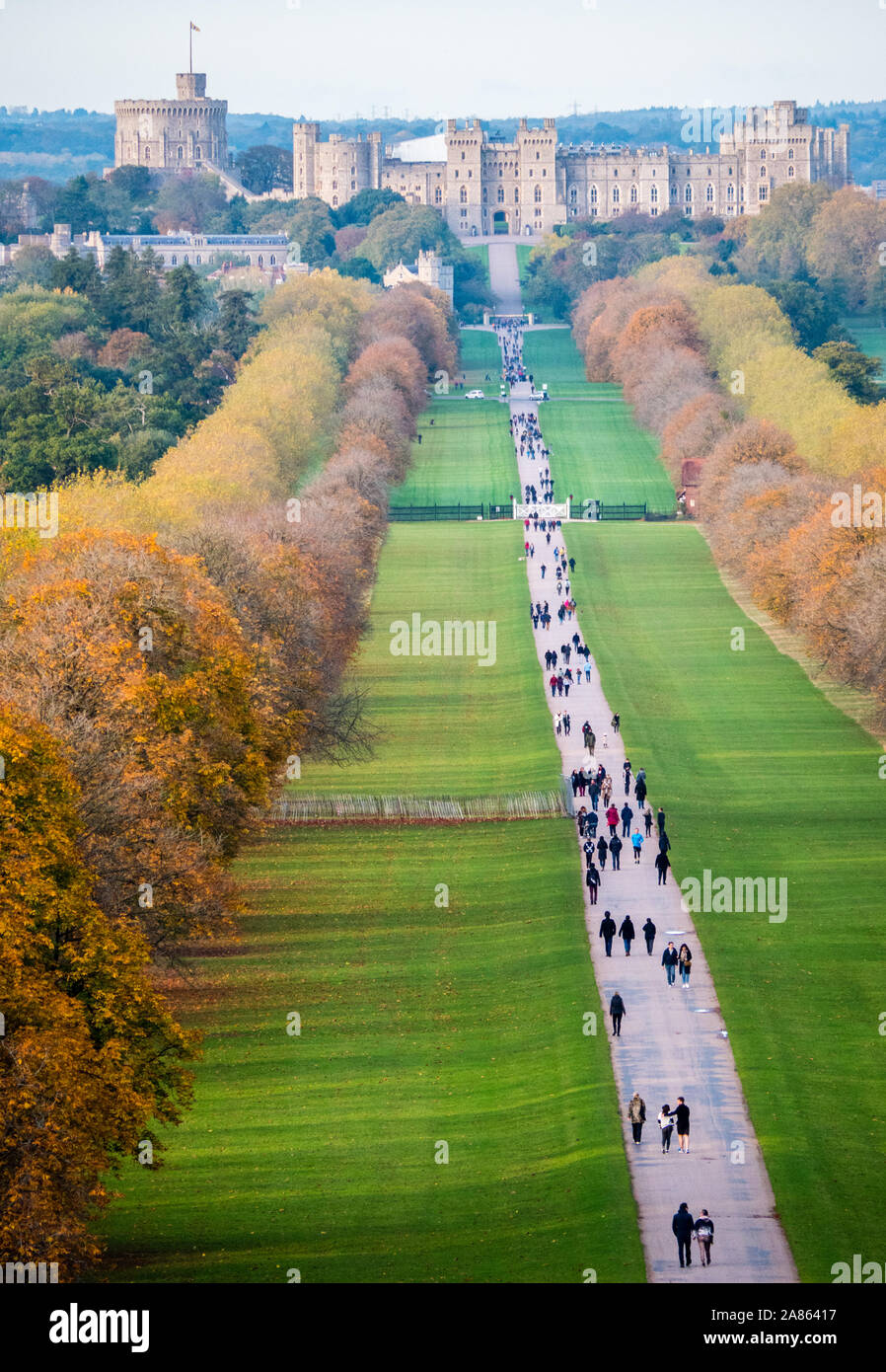 The Long Walk With Autumn Colures, Leading to Winsor Castle, Windsor ...