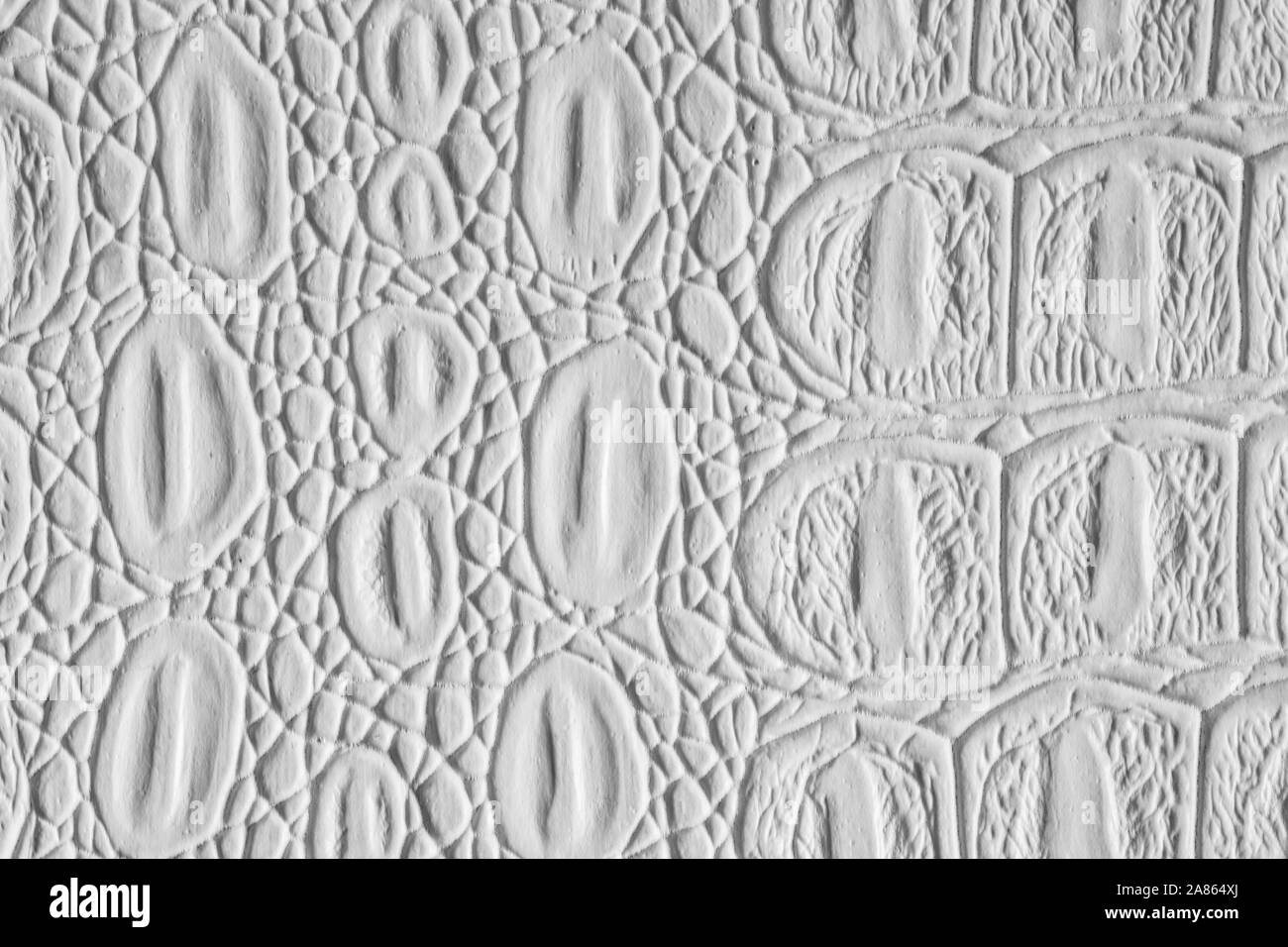 White crocodile leather texture. Abstract background for design ...