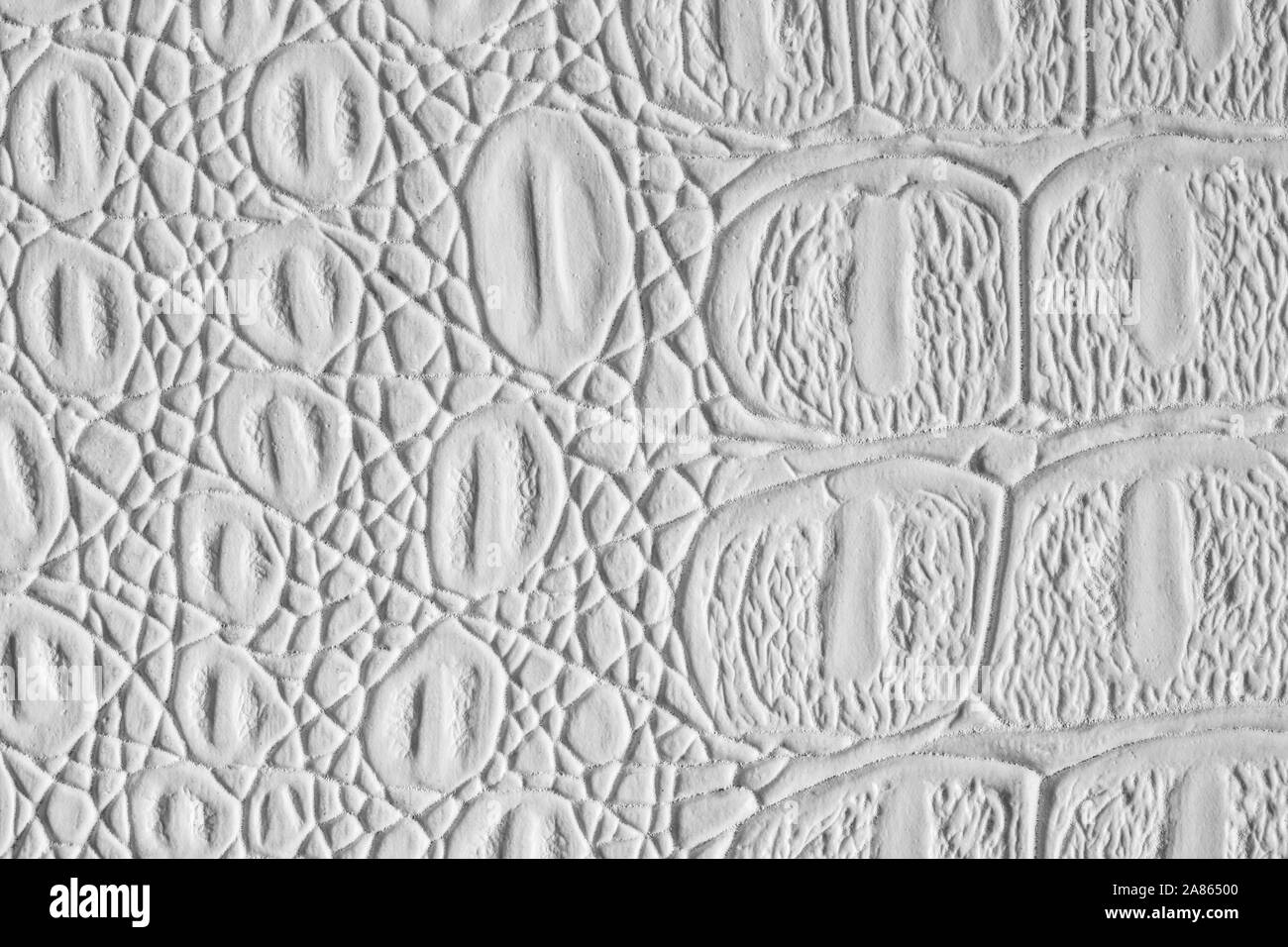 White crocodile leather texture. Abstract background for design ...