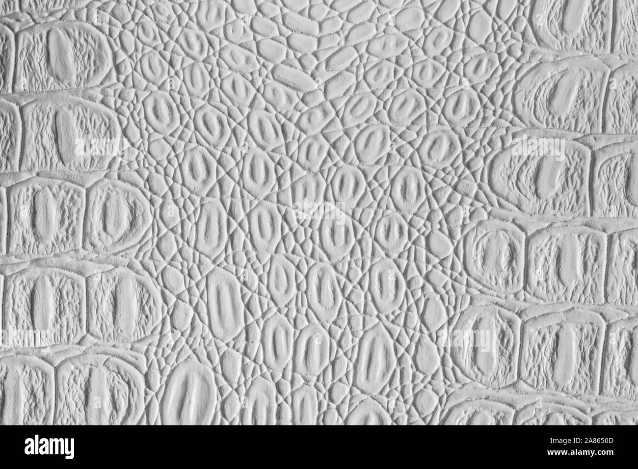White crocodile leather texture. Abstract background for design ...