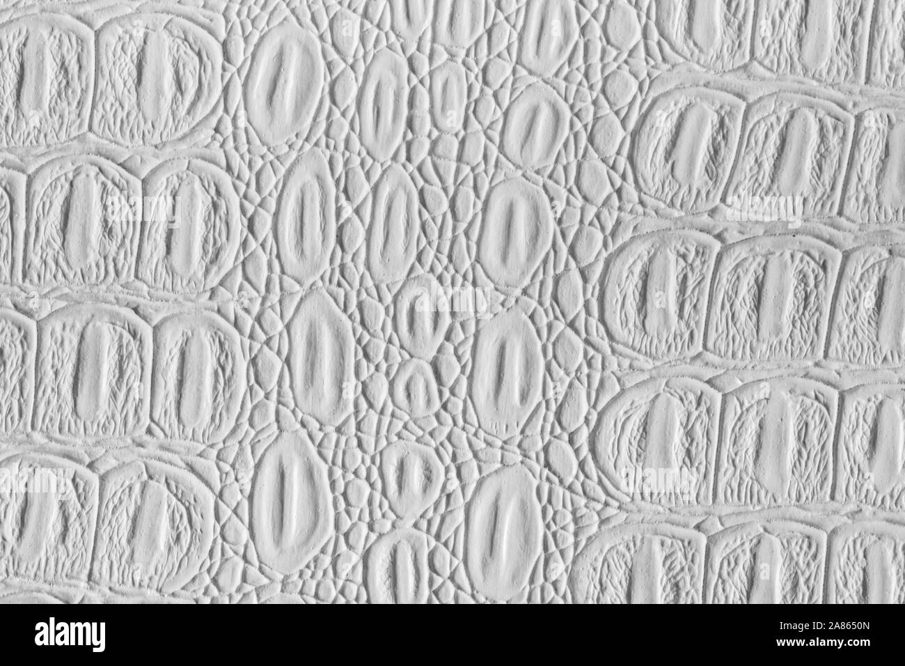 White crocodile leather texture. Abstract background for design ...