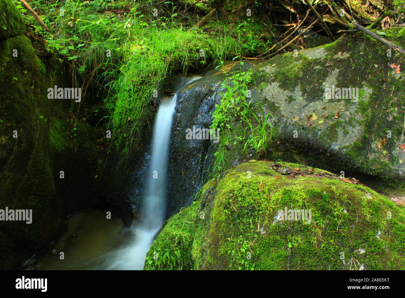 Small waterfall in a forest hi-res stock photography and images - Alamy
