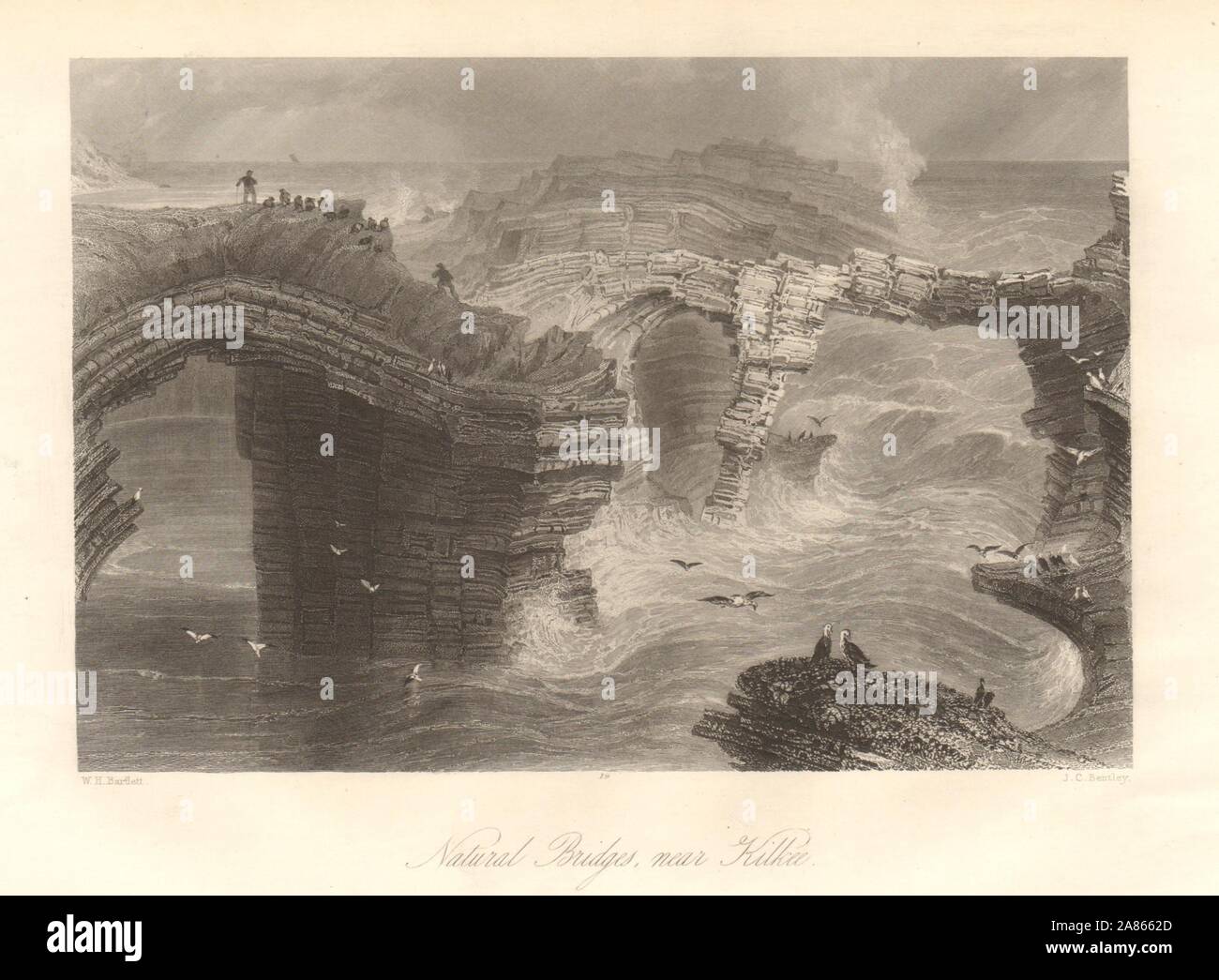 Natural Bridges of Ross, near Kilkee, County Clare. Ireland 1843 old ...