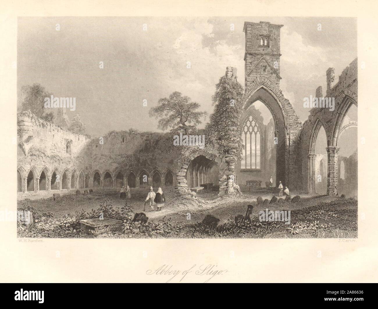 Abbey of Sligo. Ireland 1843 old antique vintage print picture Stock ...