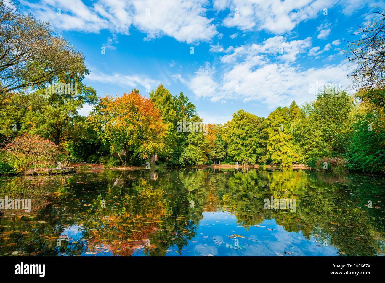 Autumn landscape. Autumn tree leaves Stock Photo - Alamy
