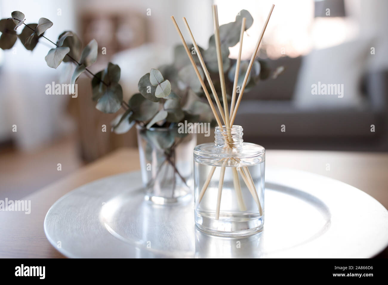 aroma reed diffuser and branches of eucalyptus Stock Photo - Alamy