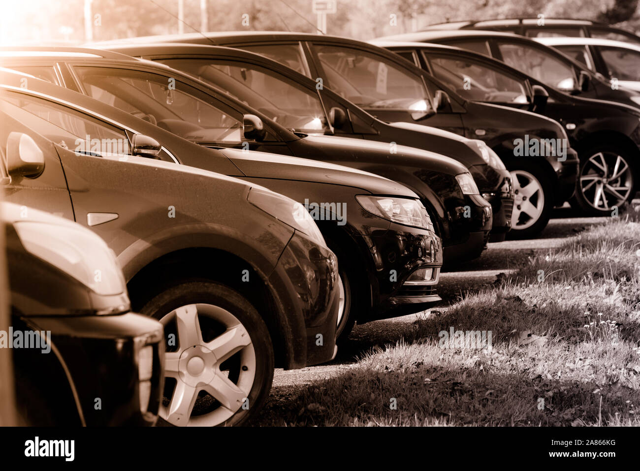cars row parked at a car dealership stock Stock Photo - Alamy
