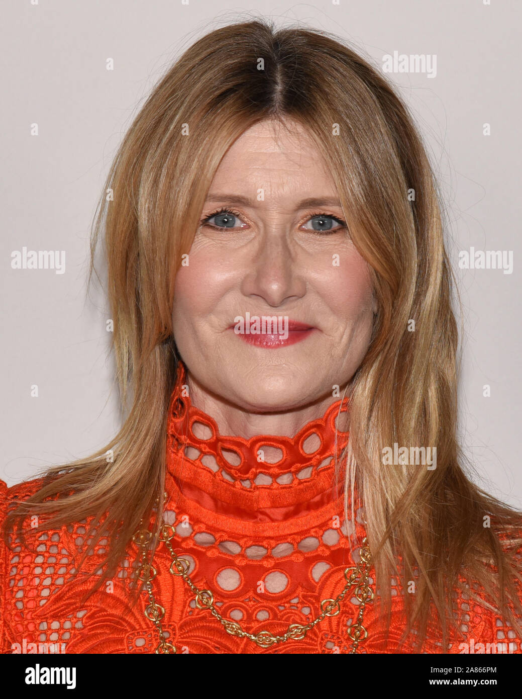 Los Angeles, California, USA. 05th Nov, 2019. Laura Dern. Netflix's ...