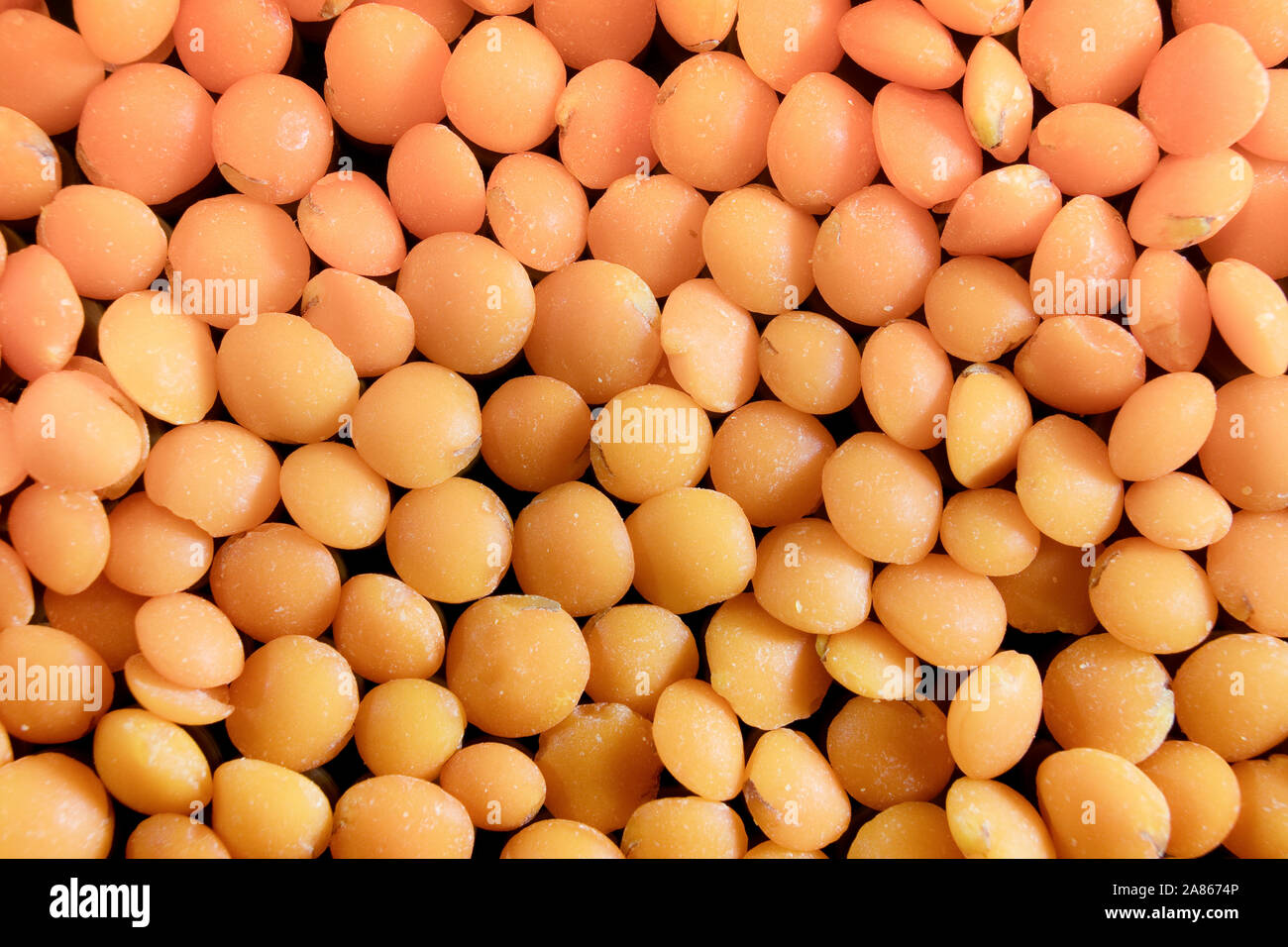 Many uncooked red lentil grains texture Stock Photo - Alamy
