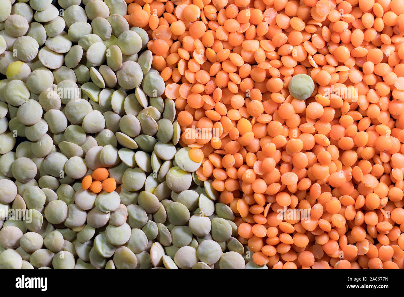 Detail of red lentil and green lentil grains diagonally bisected in Yin ...