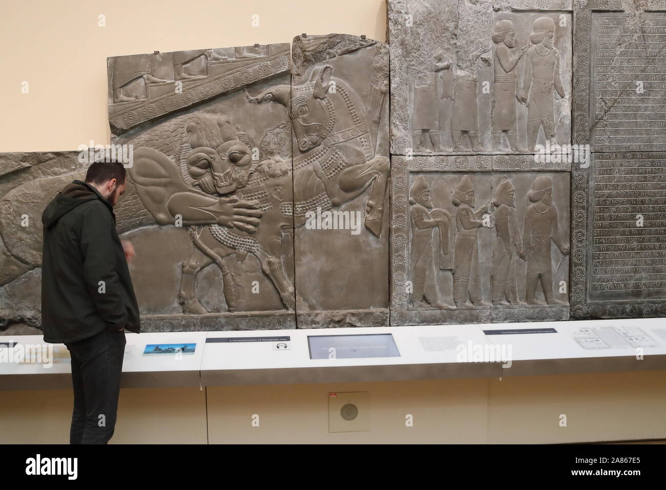 A man studies reliefs from the Palace of Darius at Persepolis, Iran ...