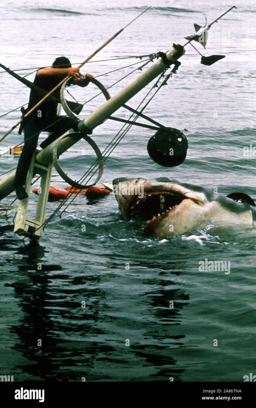 Roy Scheider High Resolution Stock Photography and Images - Alamy