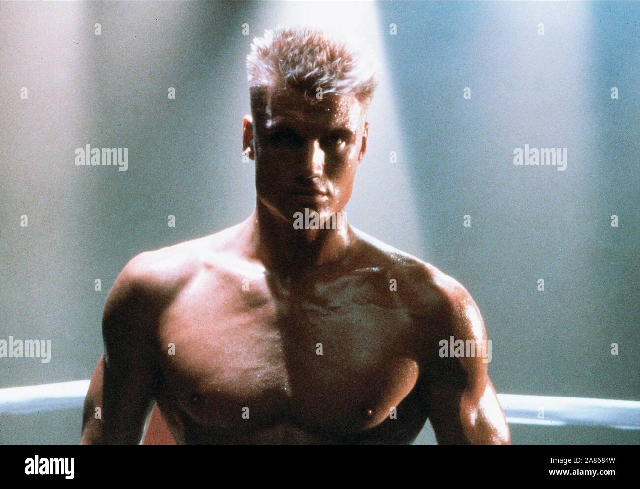 Dolph Lundgren 1985 High Resolution Stock Photography and Images - Alamy
