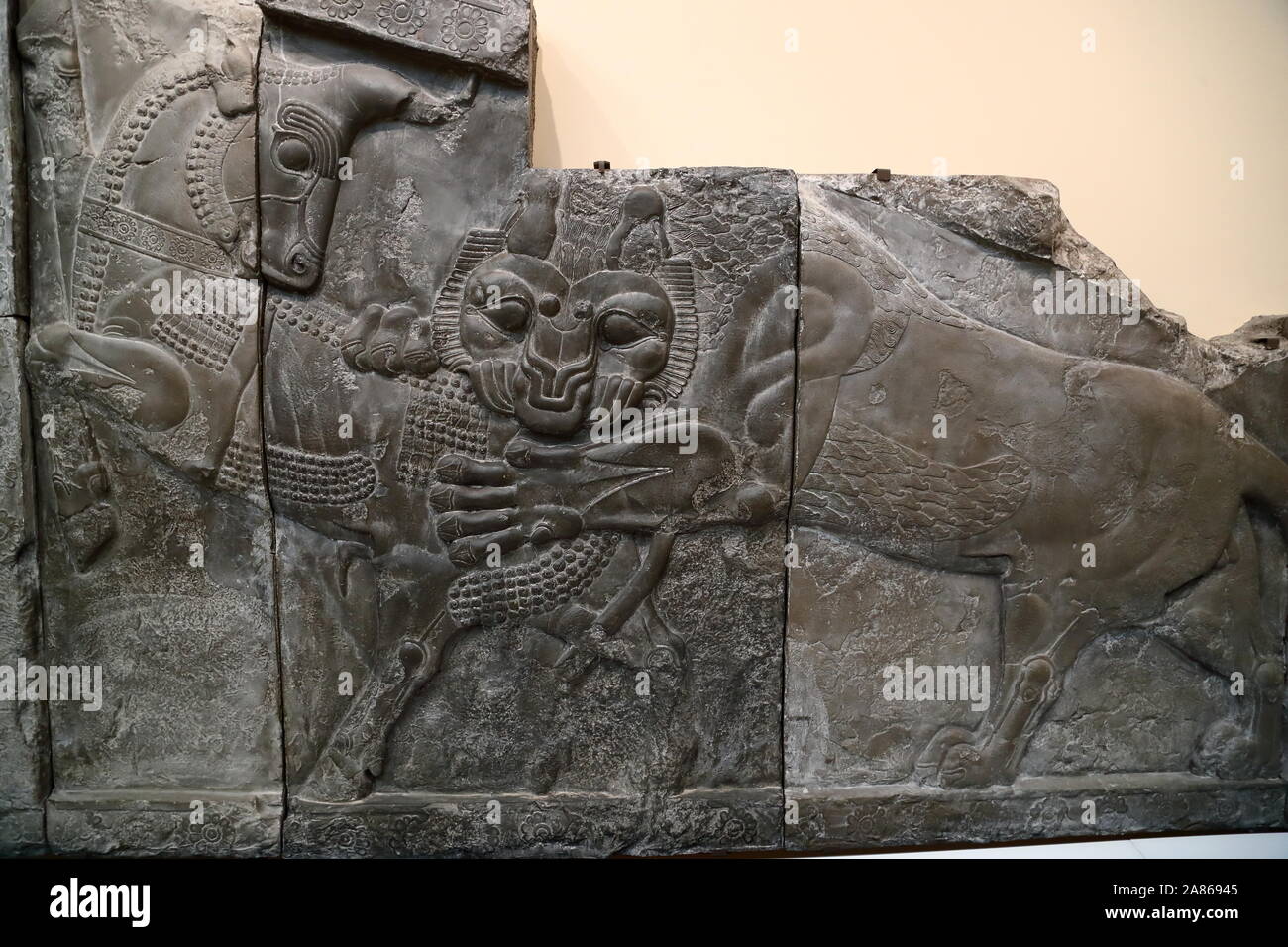 Relief from the Palace of Darius at Persepolis, Iran, displayed at the ...